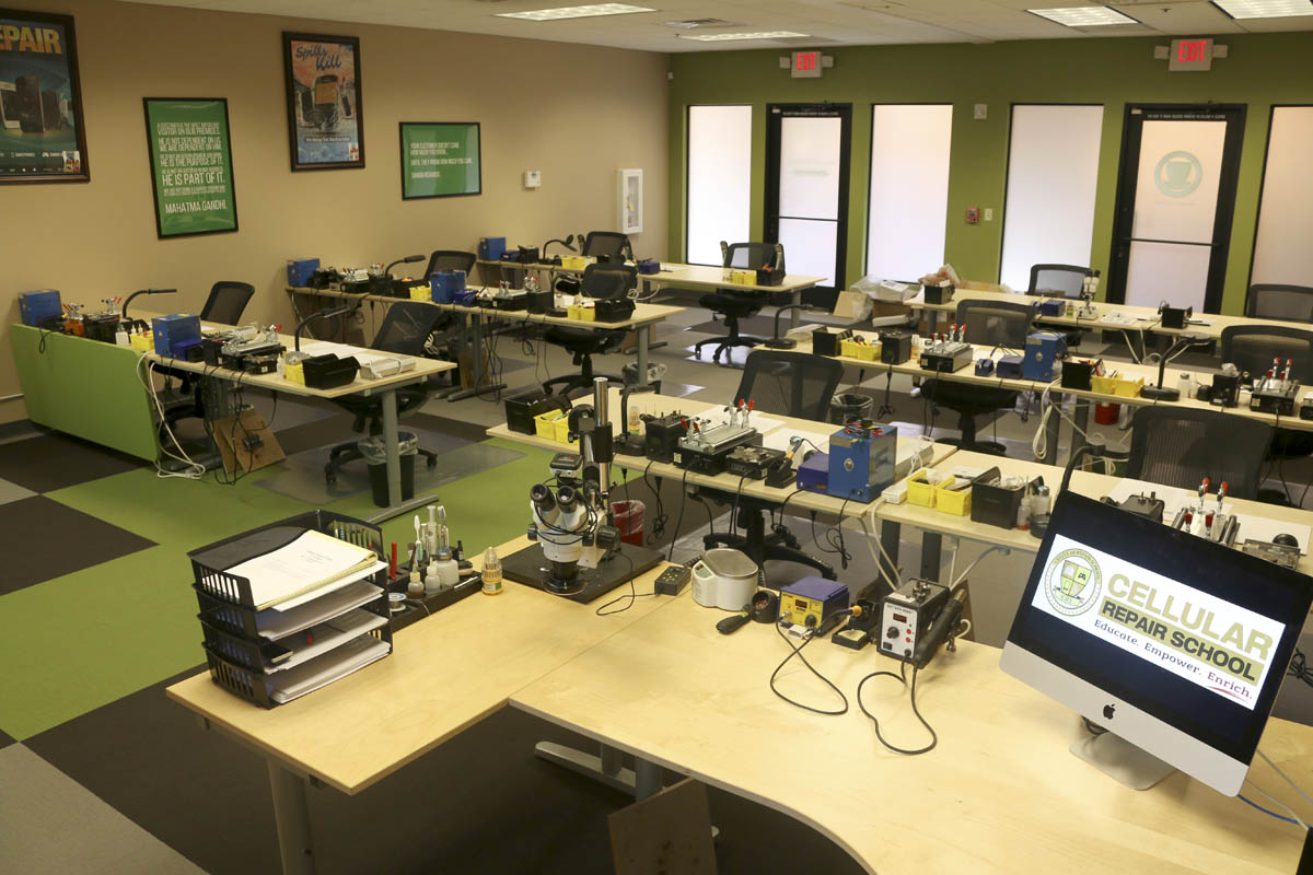 07. Team Training TImeline - Cellular Repair School